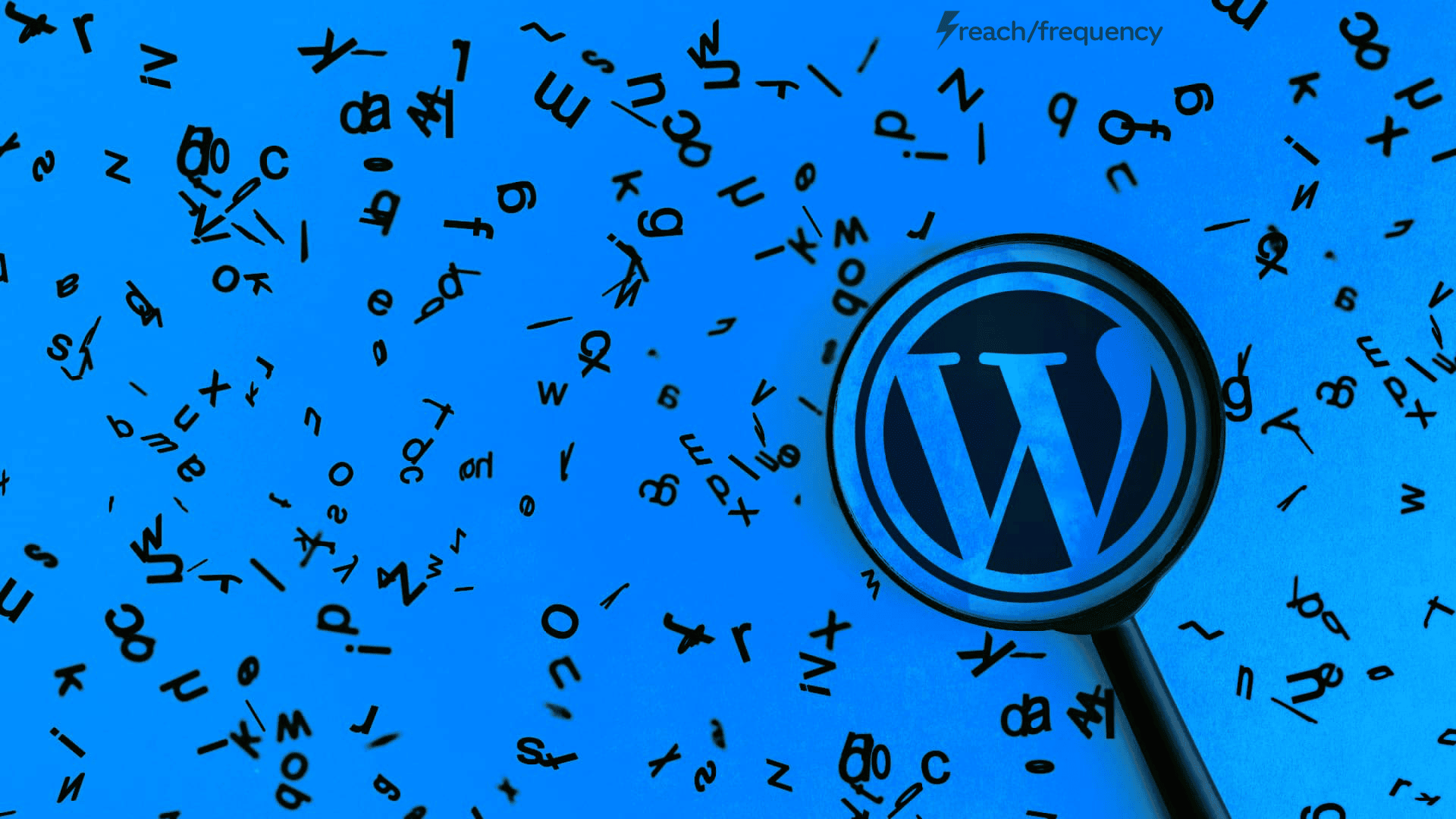 WordPress Vocabulary Guide - Defining WordPress Elements